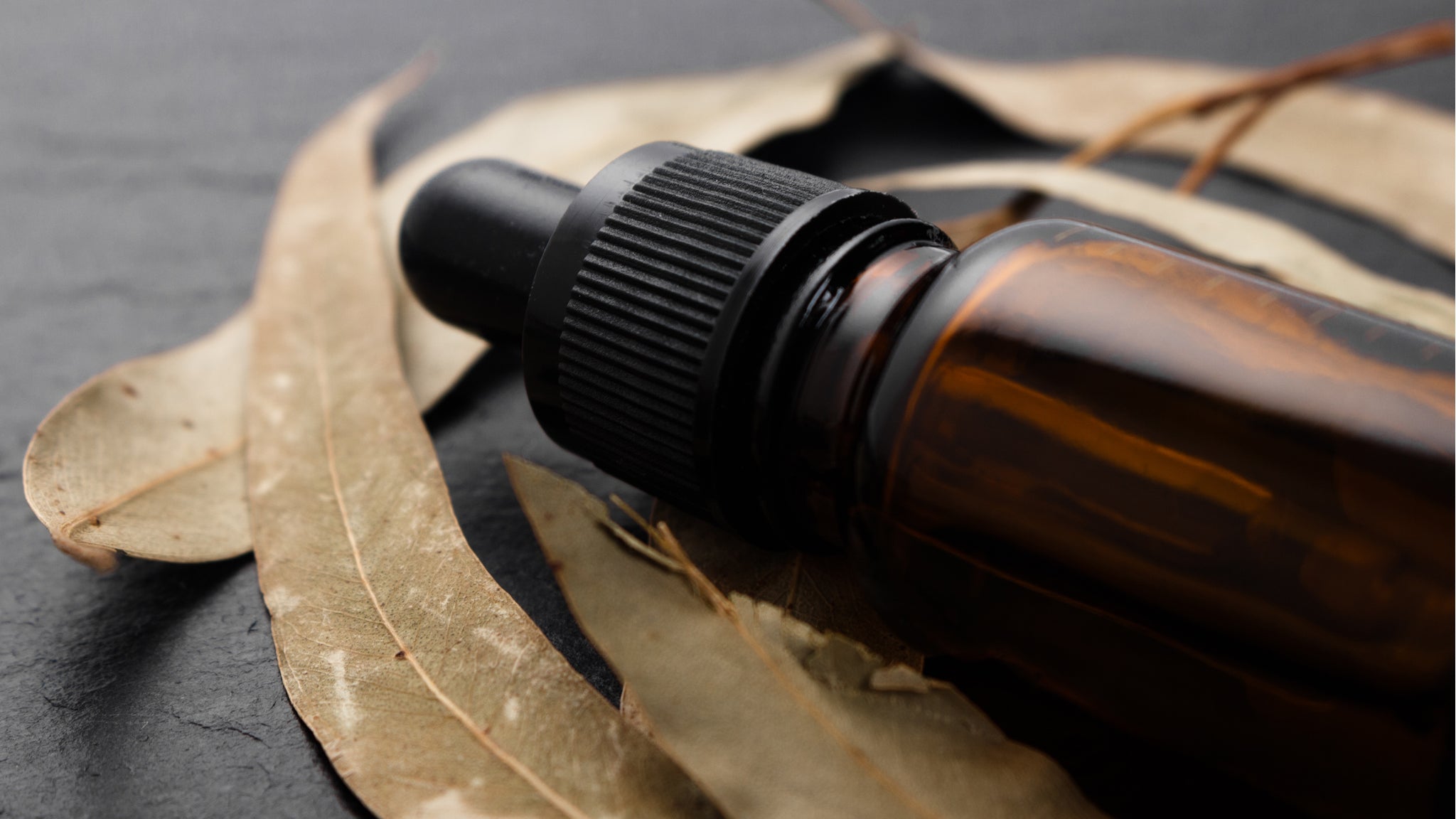 VERGE Magazine 2022 - Issue 1 (Digital) – VERGE Lifestyle & Urban ...